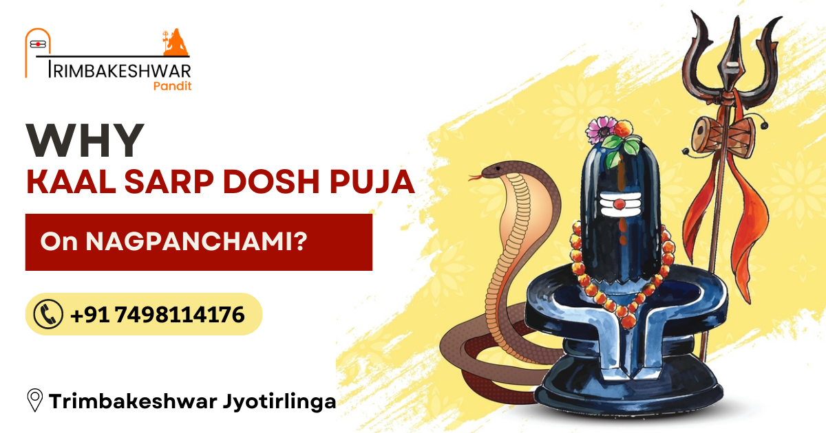 On Nagpanchami How to Do Kaal Sarp Dosh Puja in Trimbakeshwar & Why ...